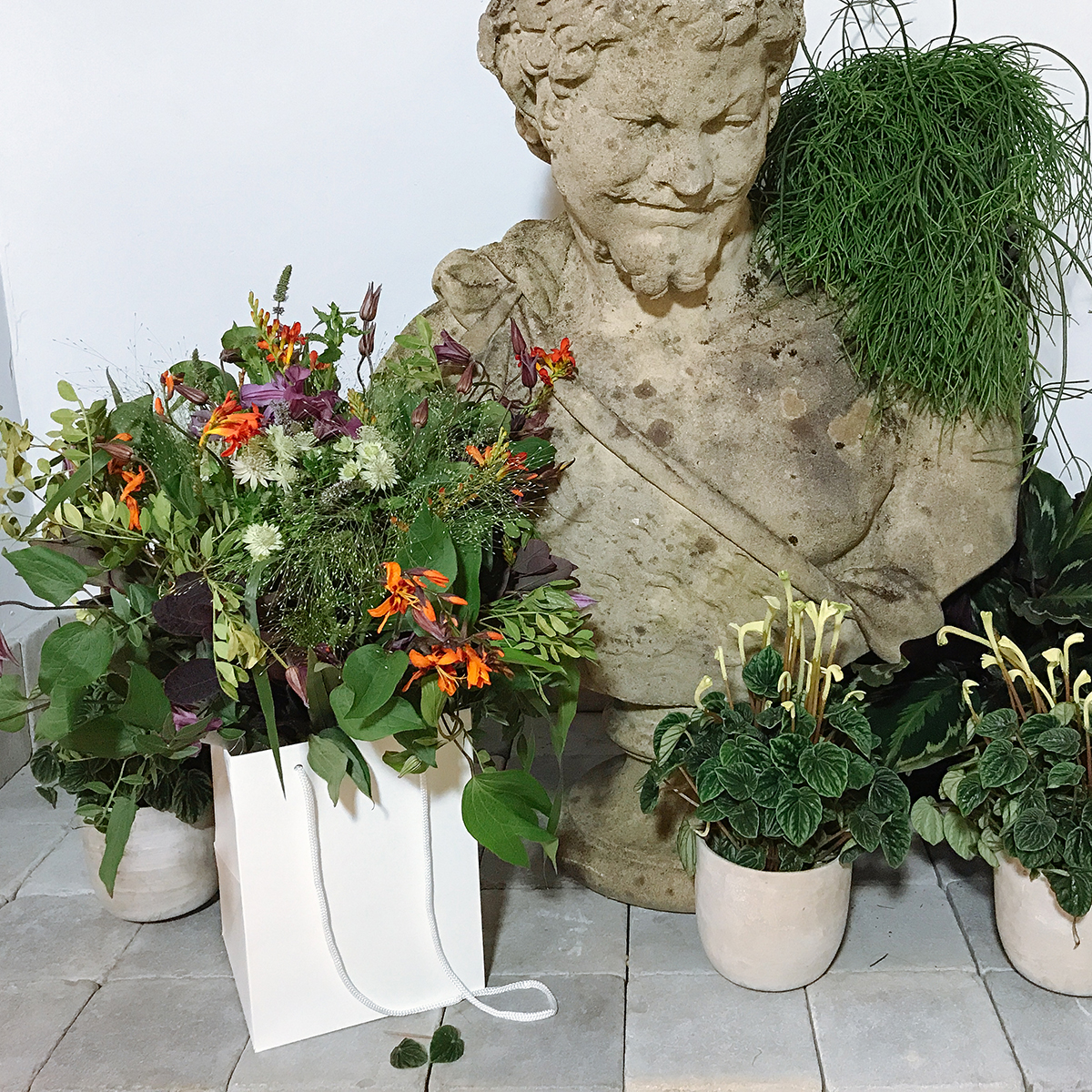 Same day flower delivery | Flowers & Gifts | Floom