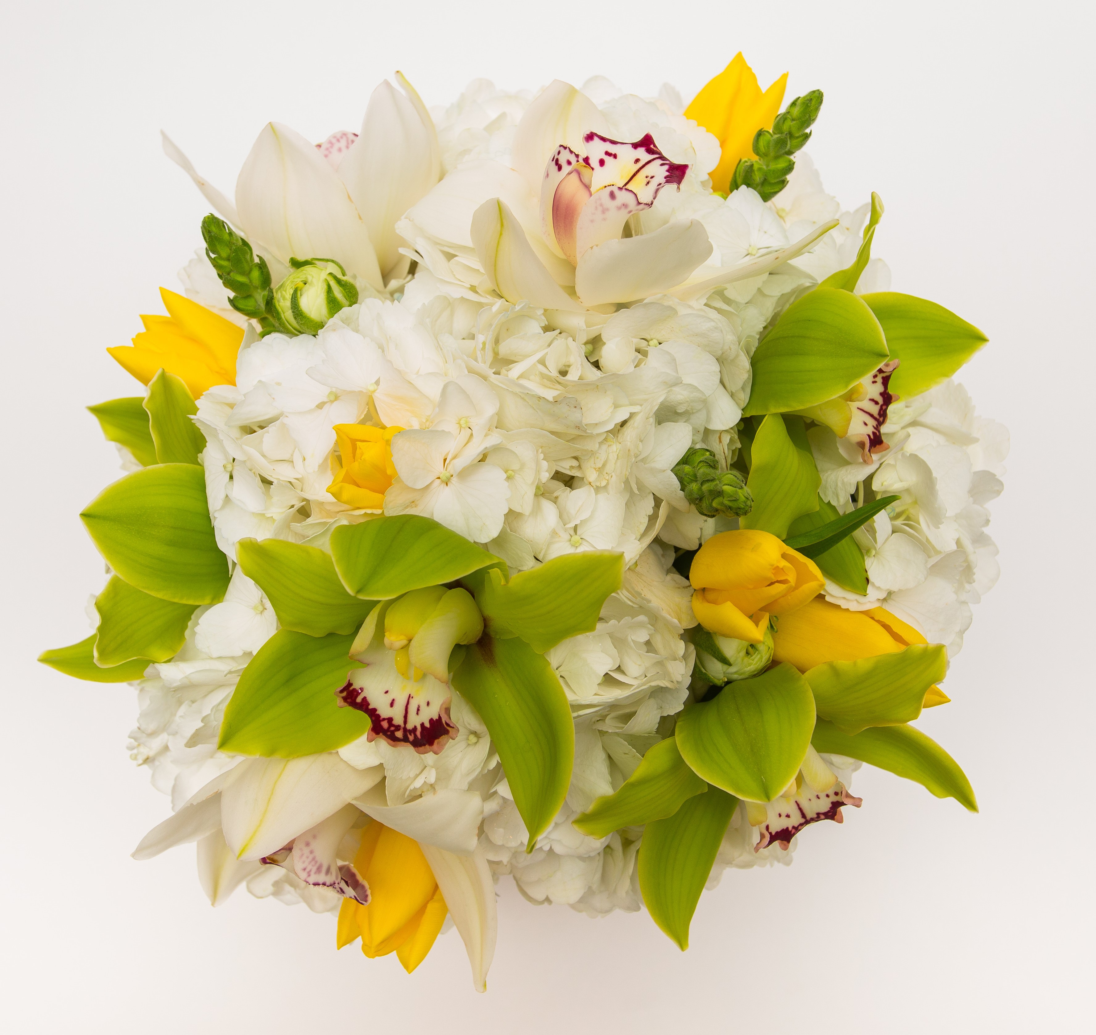 Same day flower delivery | Flowers & Gifts | Floom