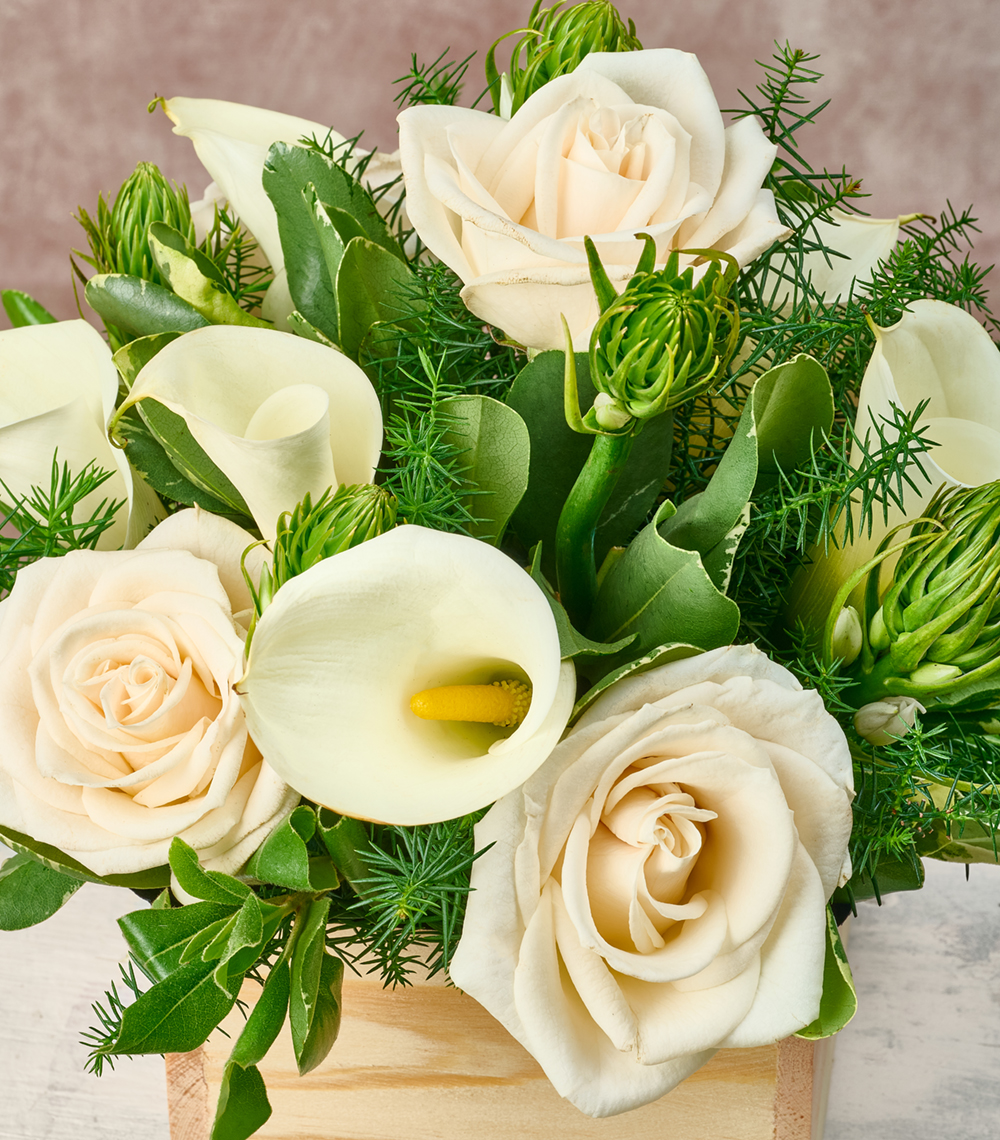 Flower Delivery Pennsylvania | Pennsylvania florists | US | Floom