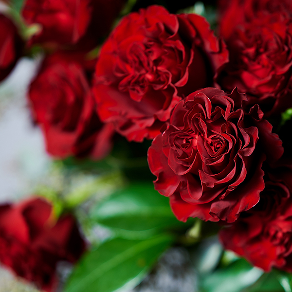 Rouge 50 - Rachel Cho Floral Design | Flowers | Floom