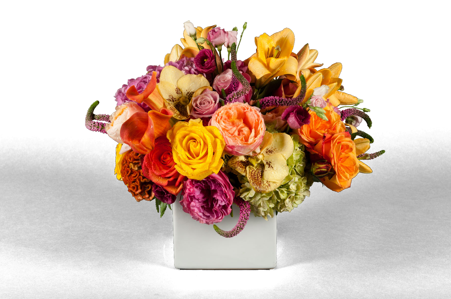 Same day flower delivery | Flowers & Gifts | Floom