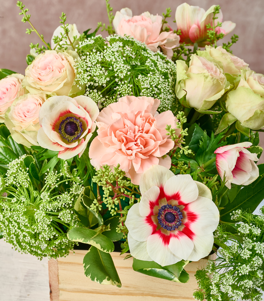 Washington Florists | Same Day Washington Flower Delivery | US | Floom