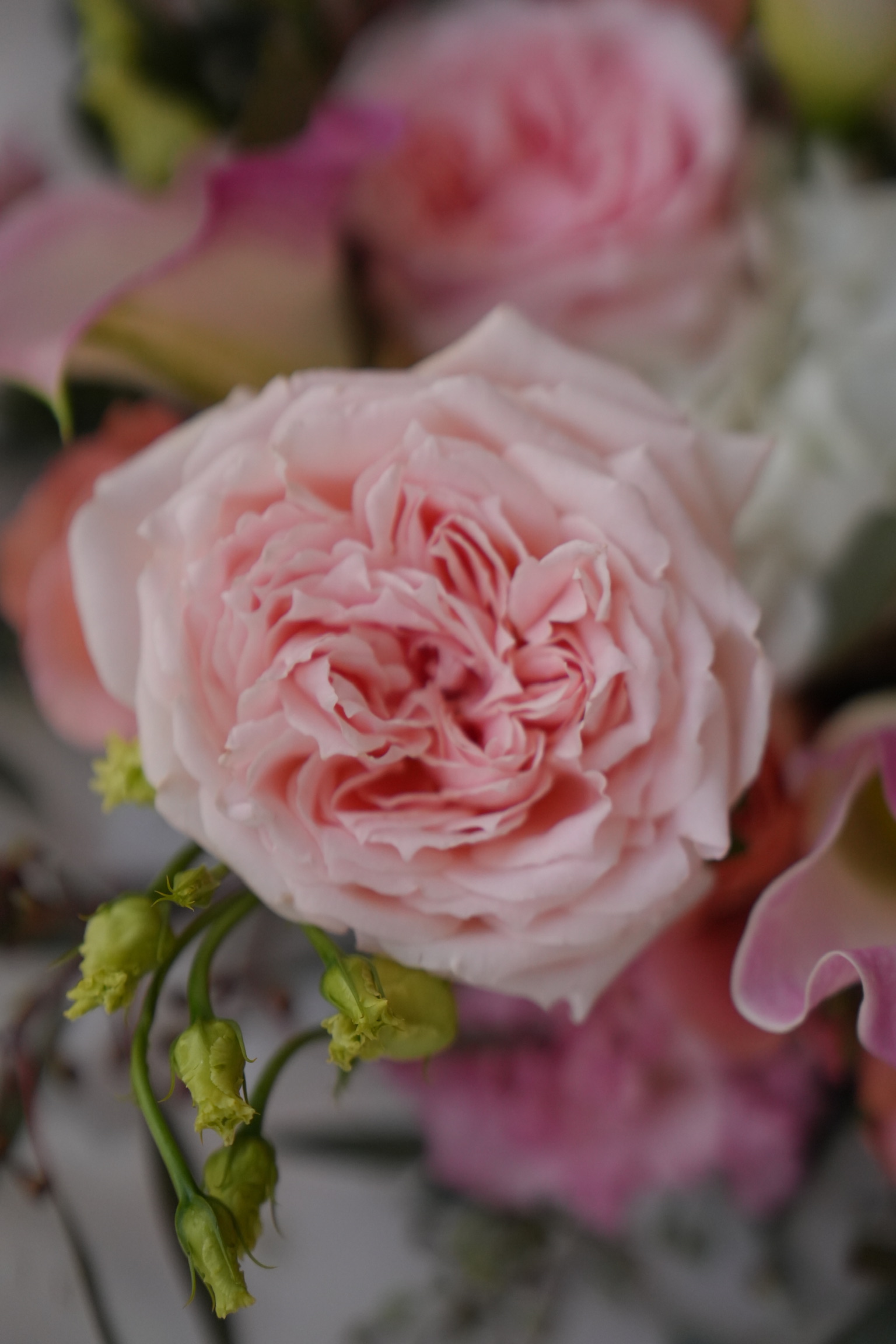 Florida Florists | Flower Delivery Florida | Floom