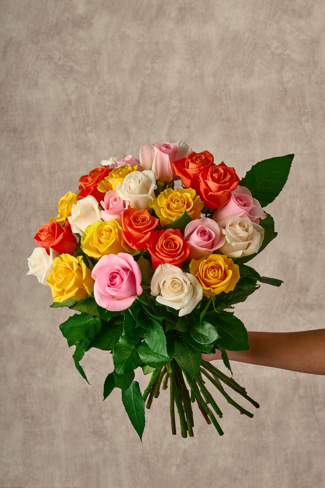 Same Day Flower delivery Dallas TX | Send Flowers Dallas | US | Floom