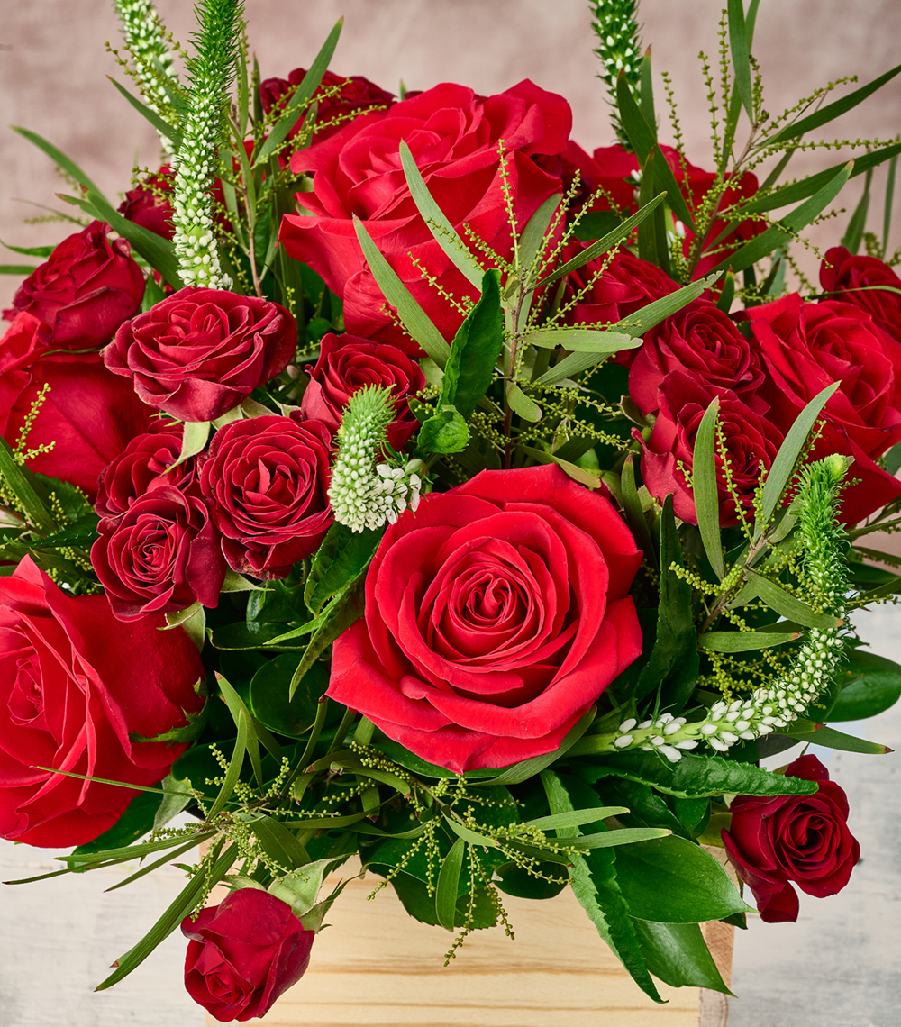 Washington Florists | Same Day Washington Flower Delivery | US | Floom