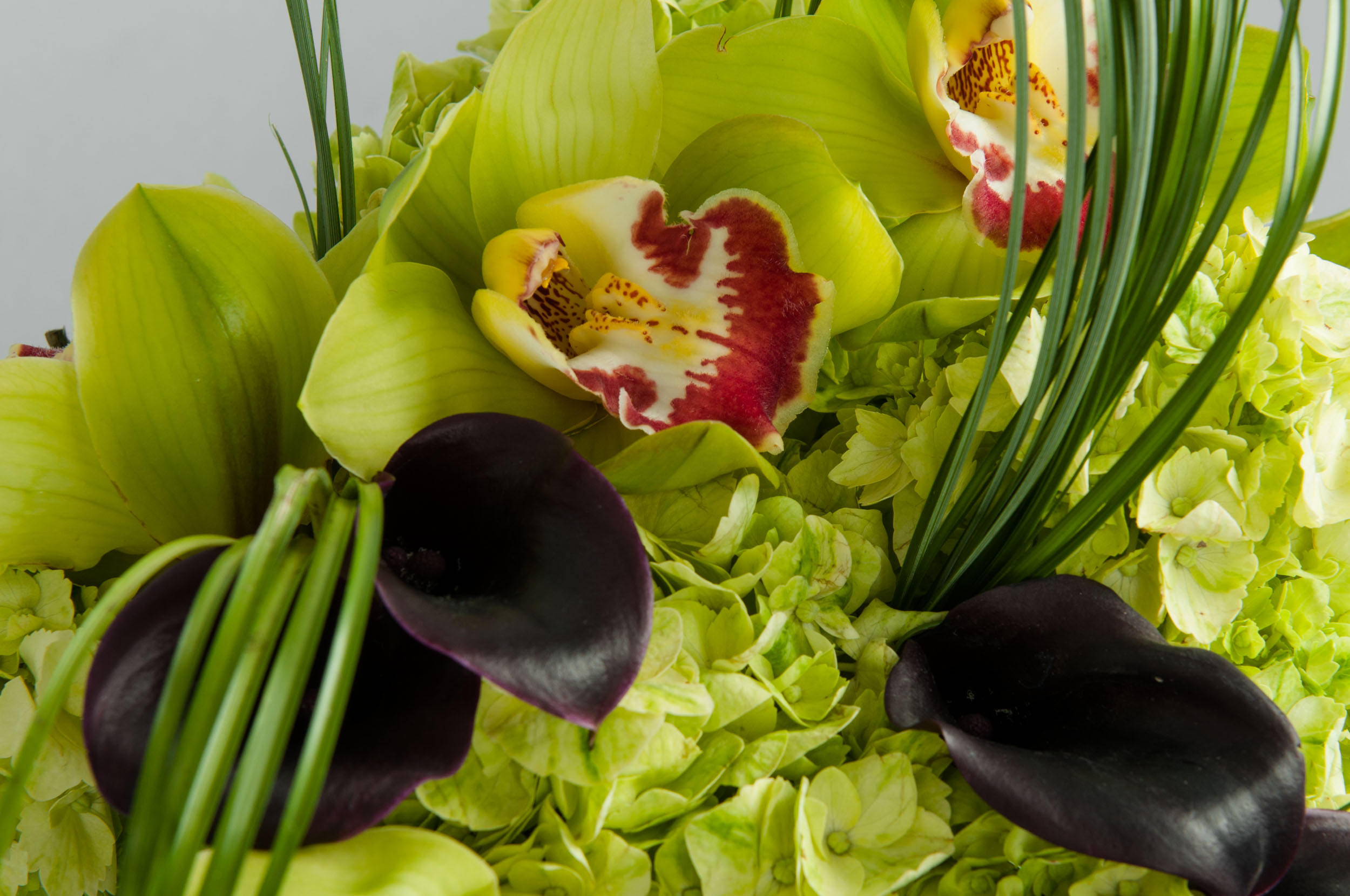 Florida Florists | Flower Delivery Florida | Floom