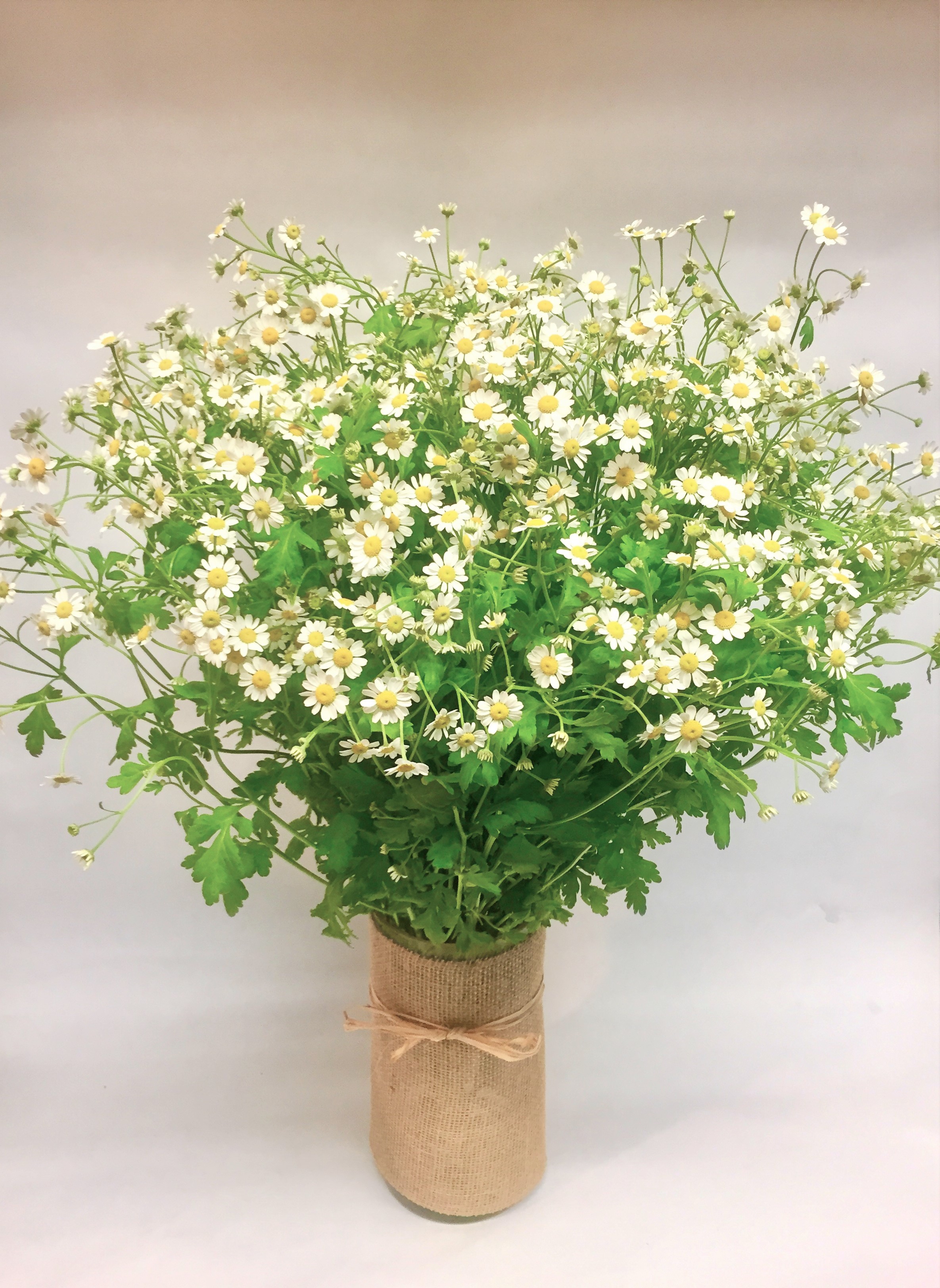 Same day flower delivery | Flowers & Gifts | Floom